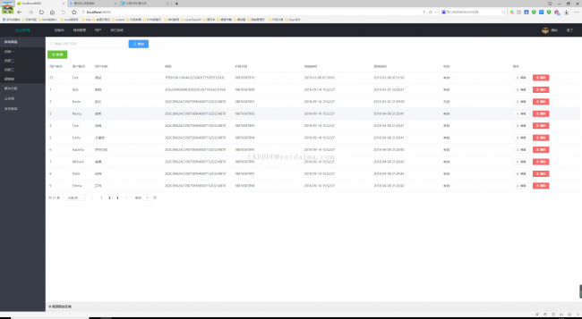 SpringBoot+Mybatis+Vue+Element-ui+layui+layer+axios搭建的成熟后台管理模板框架实现简单的页面增删改查，适合初学者积累学习-代码-最代码