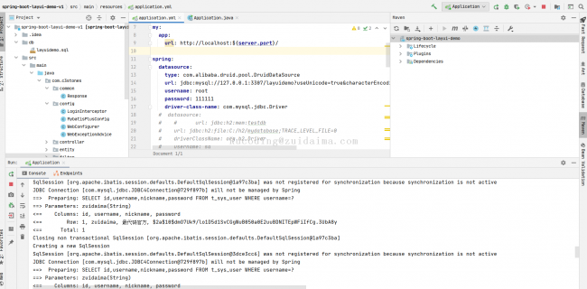 基于Spring Boot、Layui和Mybatis-plus的后台管理系统脚手架项目-代码-最代码
