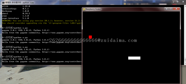 python基于pygame开发的最简单的贪吃蛇游戏-代码-最代码