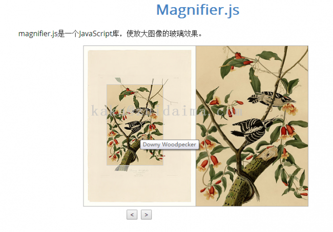 JavaScript放大镜插件magnifier实现图像放大效果-代码-最代码